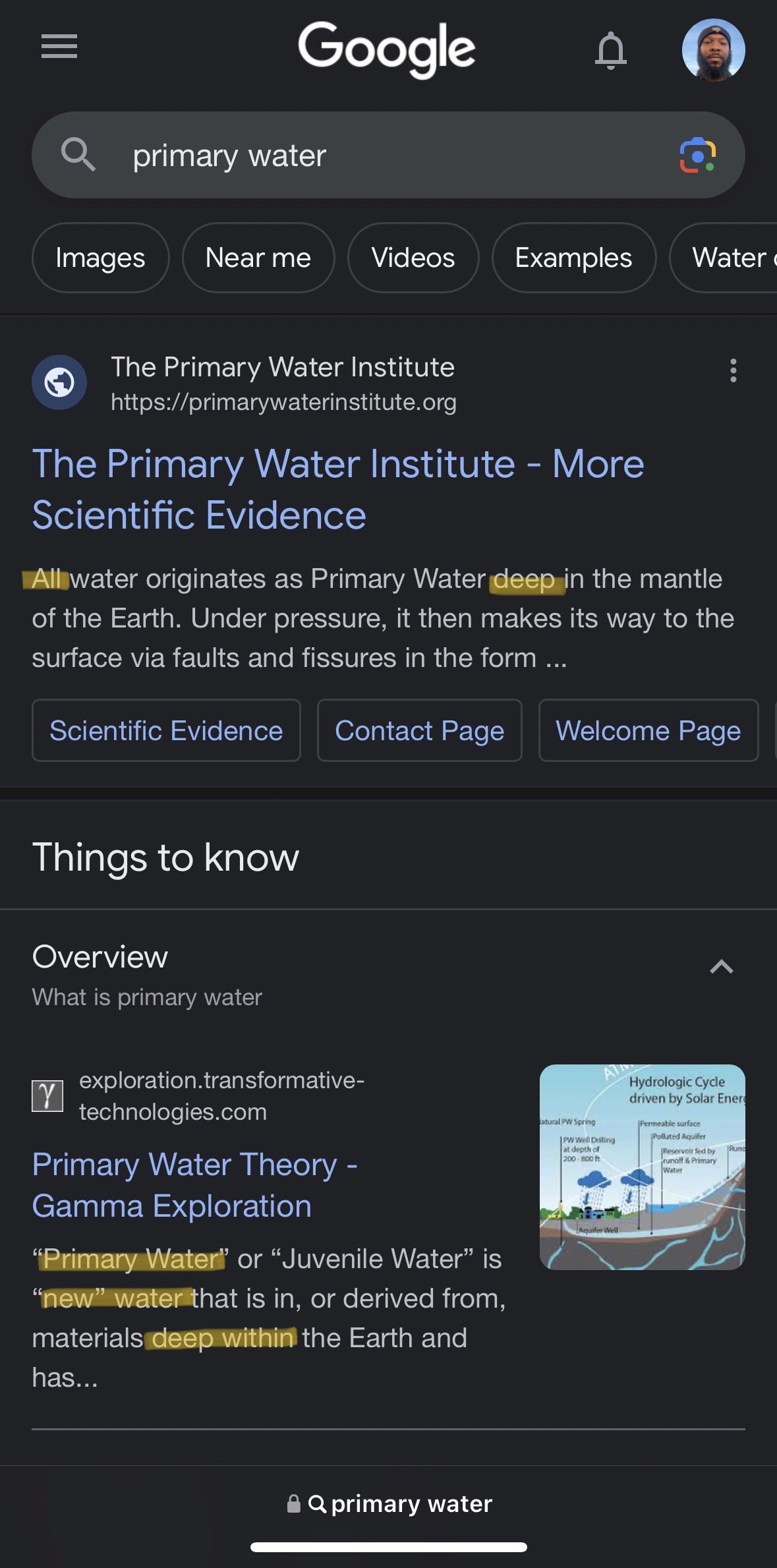 Primary Water And The Primary SOURCE Of Water – What Is He Brewing?